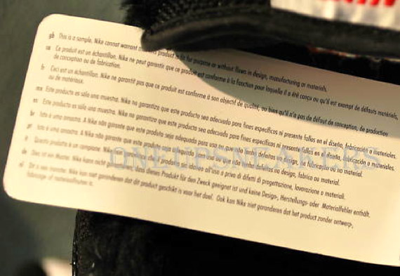 Nike SB Dunk Low - Chirping Bird - Sample on eBay - SneakerNews.com