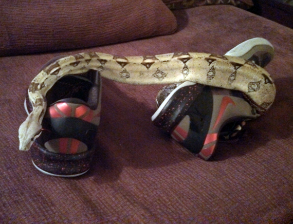Nike Kobe 8 "Python Meets Python" - SneakerNews.com