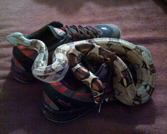 Nike Kobe 8 "Python Meets Python" - SneakerNews.com