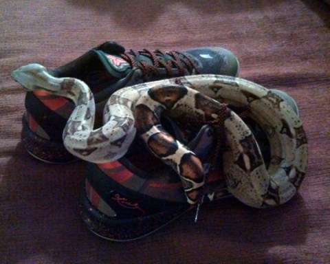 Nike Kobe 8 "Python Meets Python" - SneakerNews.com