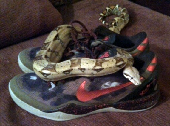 Nike Kobe 8 "Python Meets Python" - SneakerNews.com