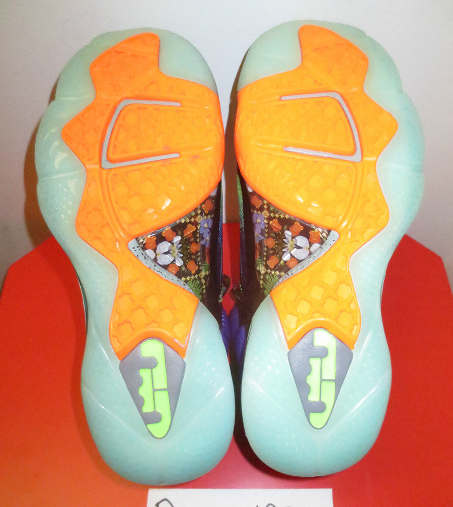 Nike LeBron 9 "What The LeBron" on eBay - SneakerNews.com