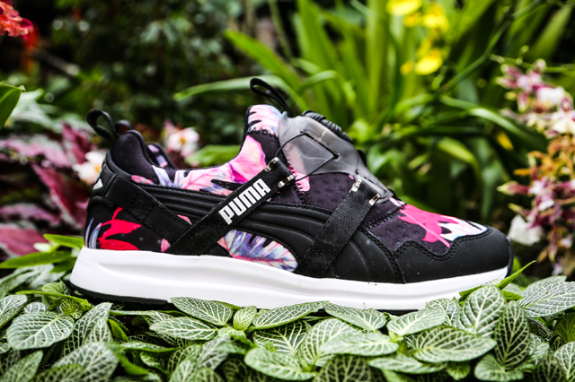Puma Disc "Tropicalia Pack" - SneakerNews.com
