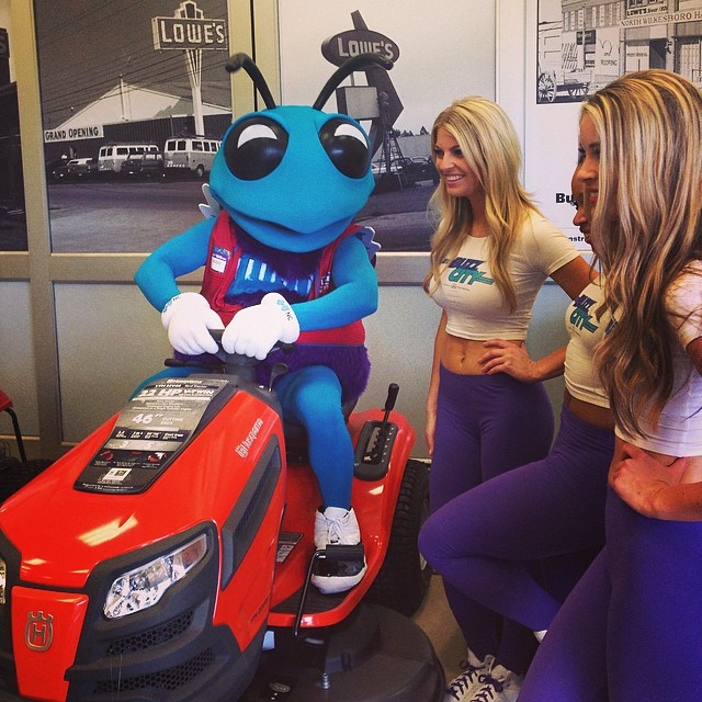 Charlotte Hornets Mascot Hugo Creates A Buzz With Concord 11s ...