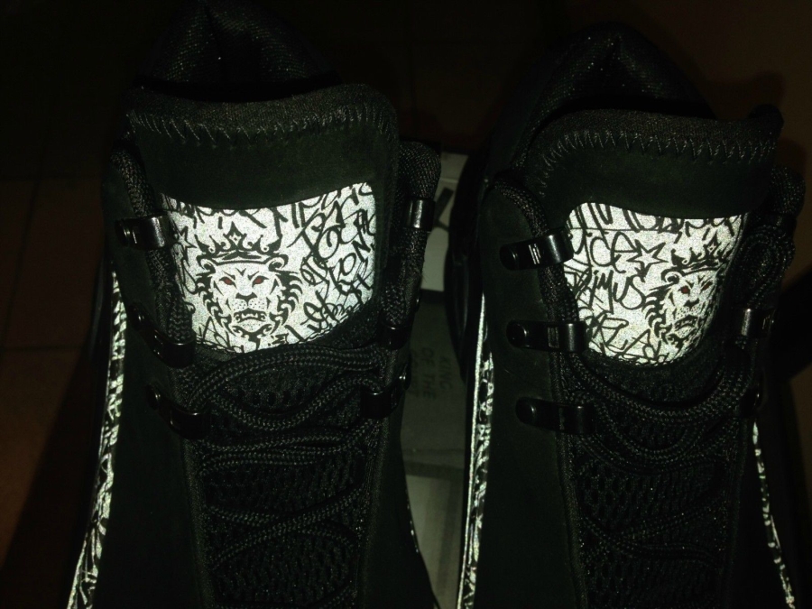 Nike LeBron Power Max 6 Sample on eBay - SneakerNews.com