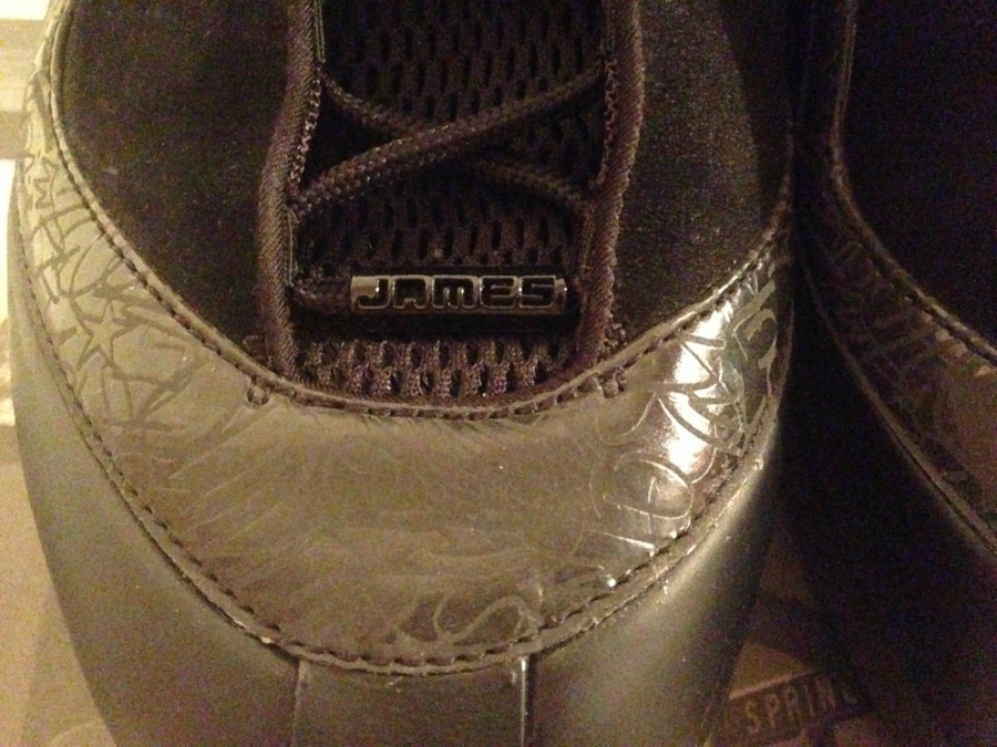 Nike LeBron Power Max 6 Sample on eBay - SneakerNews.com