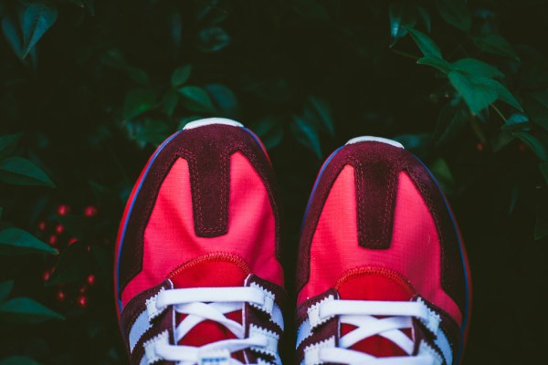 adidas SL Loop Runner - Red - Royal - SneakerNews.com