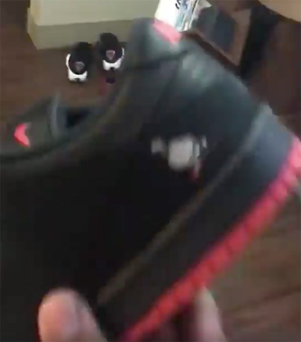 Nike Pigeon Dunks 2017 Release Info | SneakerNews.com