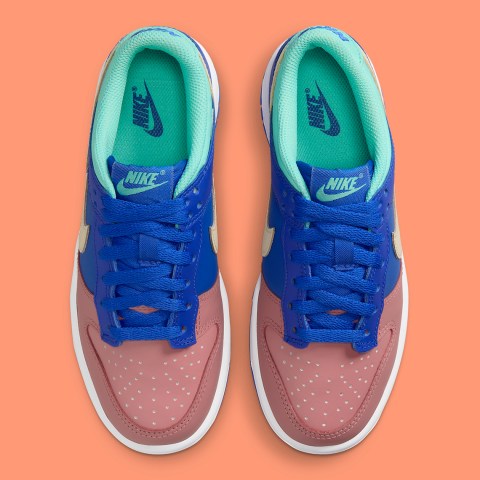 Nike Dunk Low GS "Salmon Toe" DZ2873-400 | SneakerNews.com