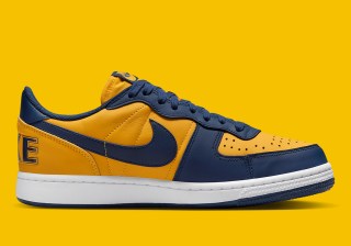 Nike Terminator Low "Michigan" FJ4206-700 | SneakerNews.com