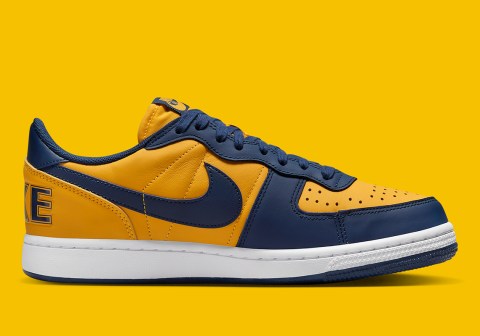 Nike Terminator Low "Michigan" FJ4206-700 | SneakerNews.com