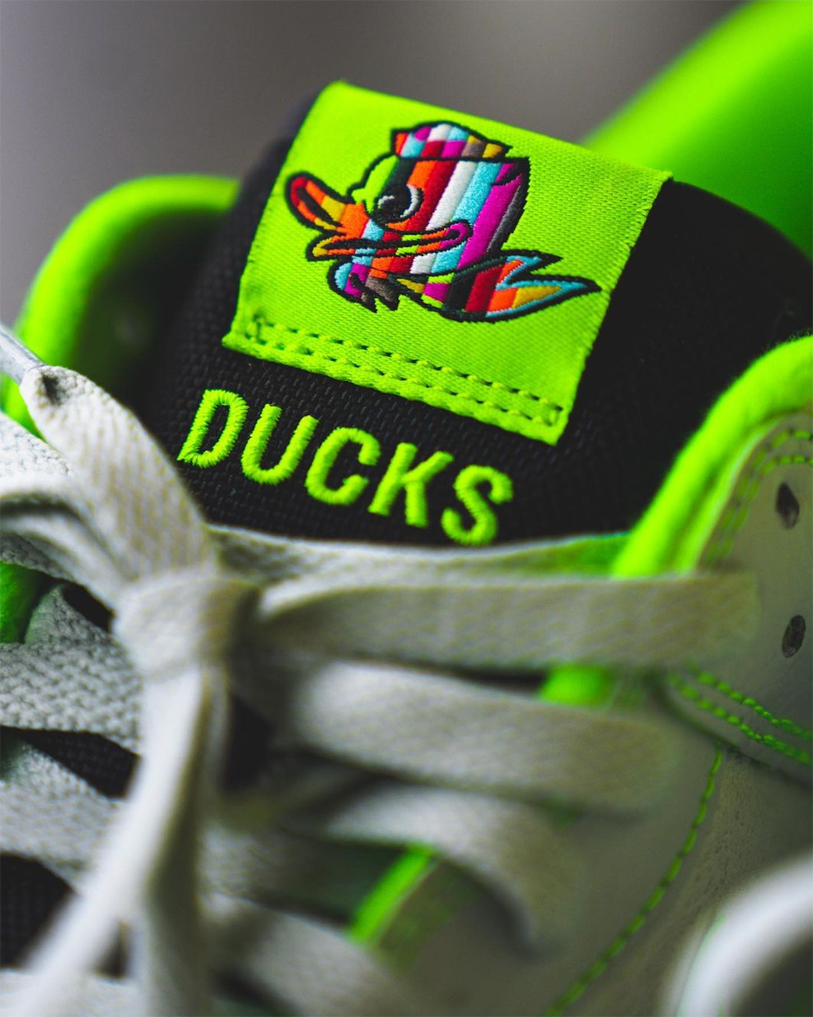 Nike Dunk Low Oregon "Ducks Of A Feather" | SneakerNews.com