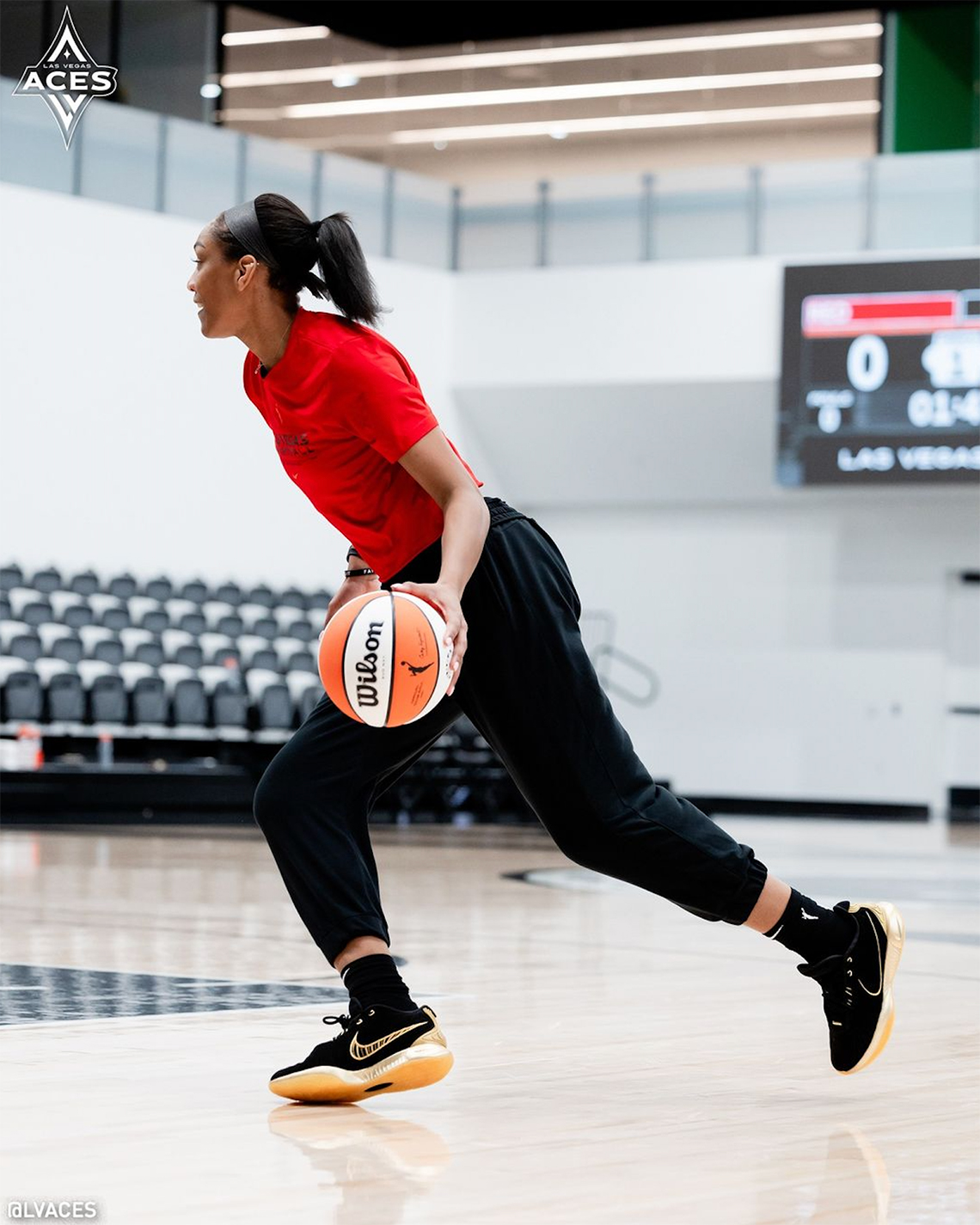 Nike LeBron 21 A'ja Wilson "WNBA Finals" PE | SneakerNews.com