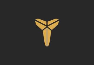 Nike Air Flightposite One "Metallic Gold "FV5582-700 | SneakerNews.com