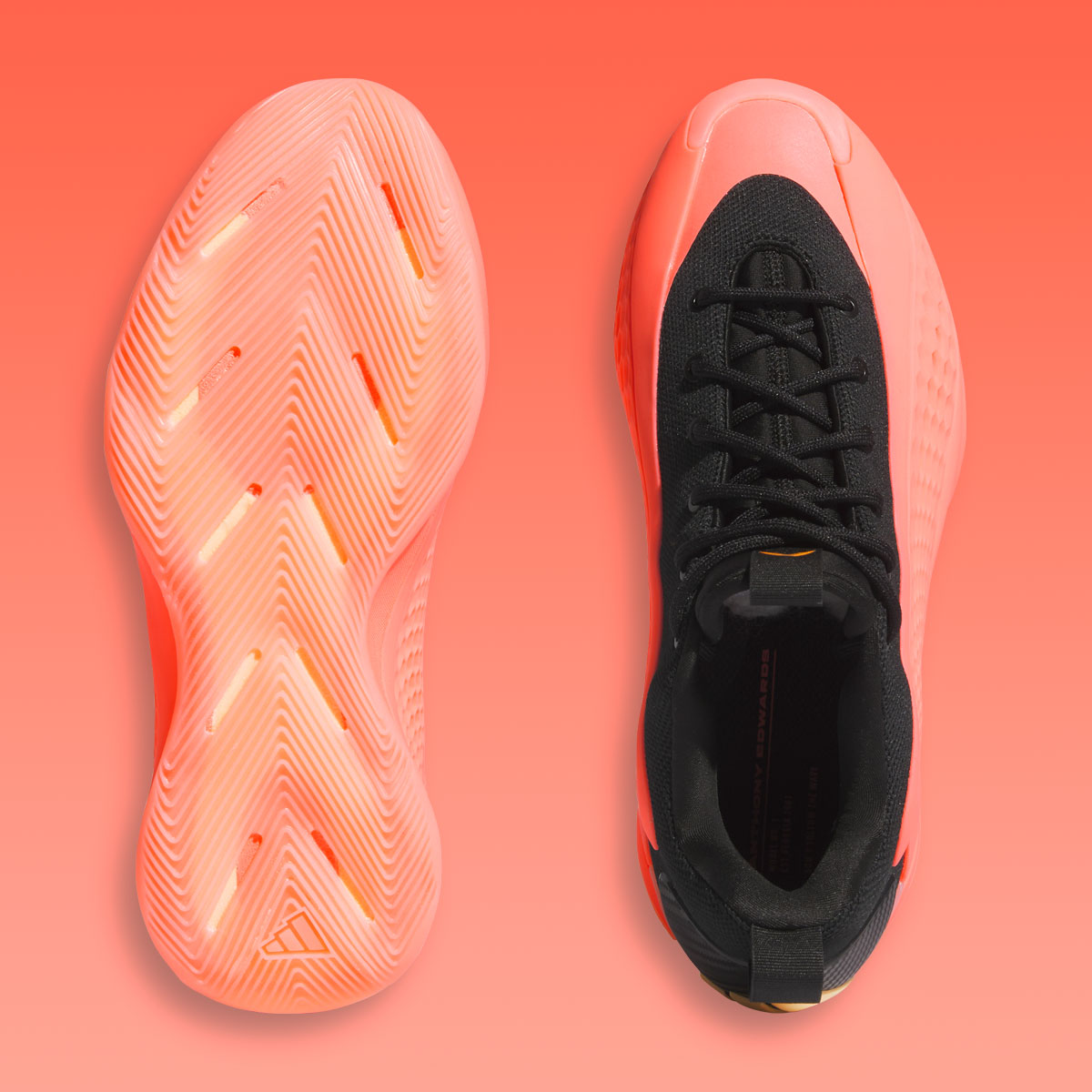 adidas AE1 Low "Mural" Release Date | SneakerNews.com