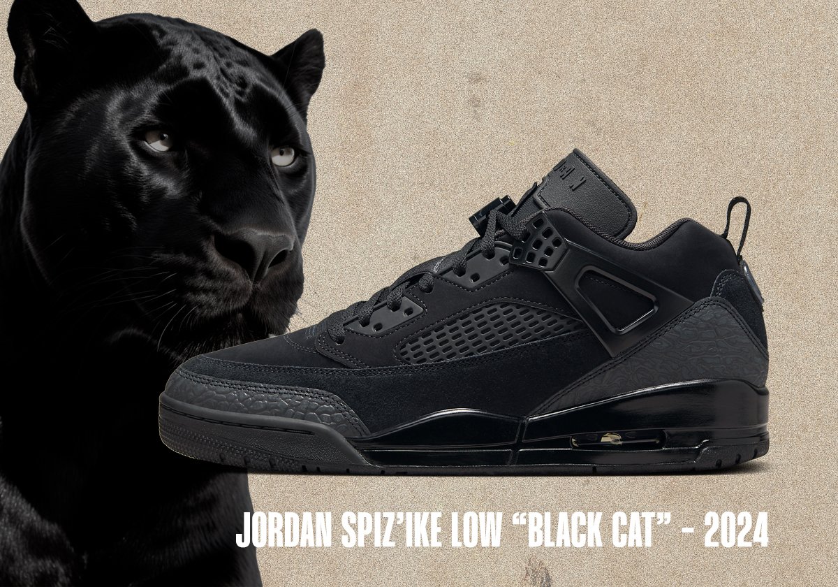 Black Cat Jordans - Full History | SneakerNews.com