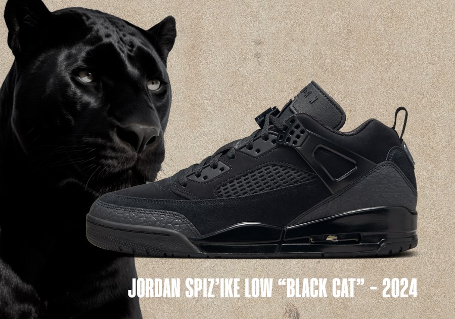 Black Cat Jordans - Full History | SneakerNews.com