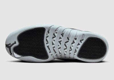 Air Jordan 12 "Barons" CT8013-010 | SneakerNews.com
