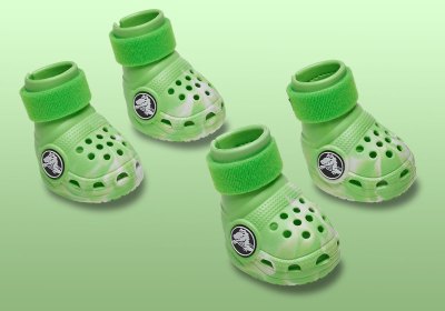 Pet Crocs For Dogs - Official Release Info | SneakerNews.com
