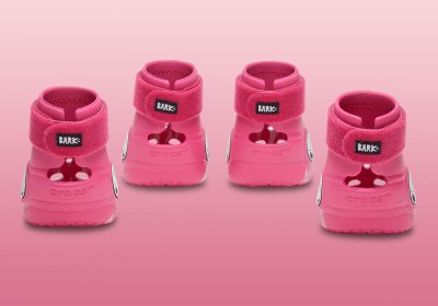 Pet Crocs For Dogs - Official Release Info | SneakerNews.com