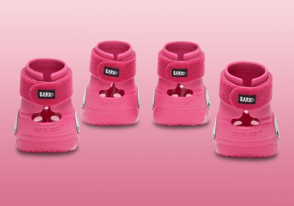 Pet Crocs For Dogs - Official Release Info | SneakerNews.com