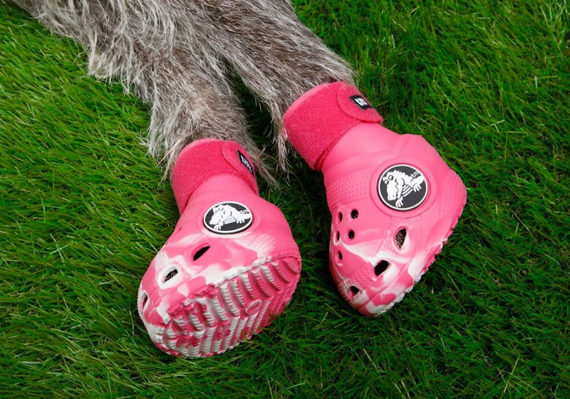 Pet Crocs For Dogs - Official Release Info | SneakerNews.com