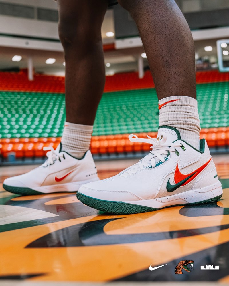 FAMU Nike LeBron PEs 2025 | SneakerNews.com