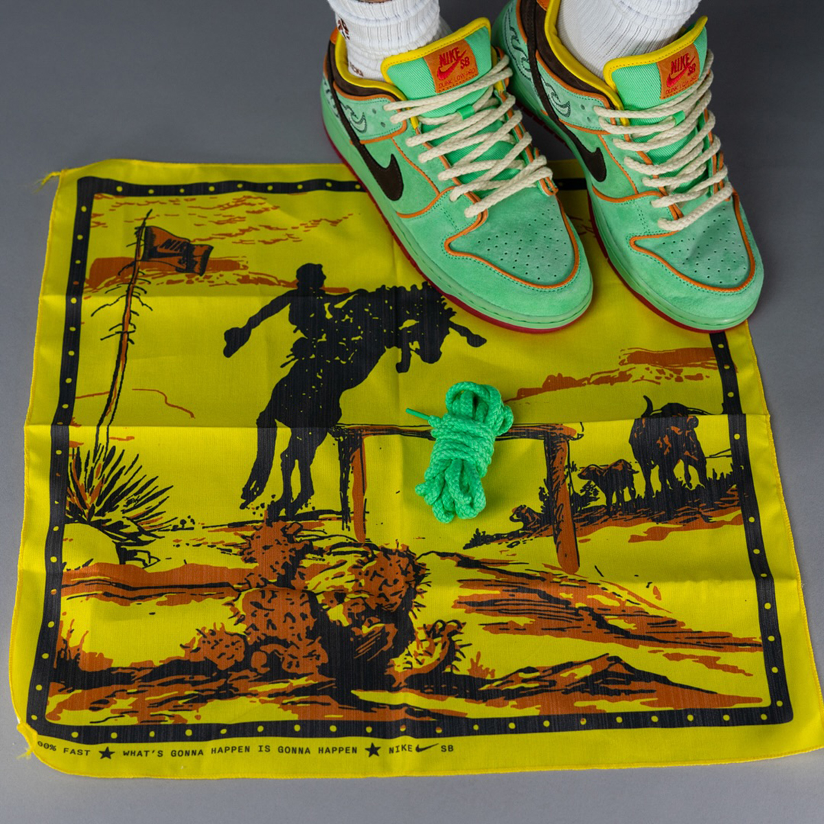 Nike SB Dunk Low BHM 2025 HF3058-300 | SneakerNews.com