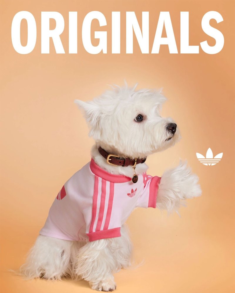 adidas Originals Pets Collection 2025 | SneakerNews.com