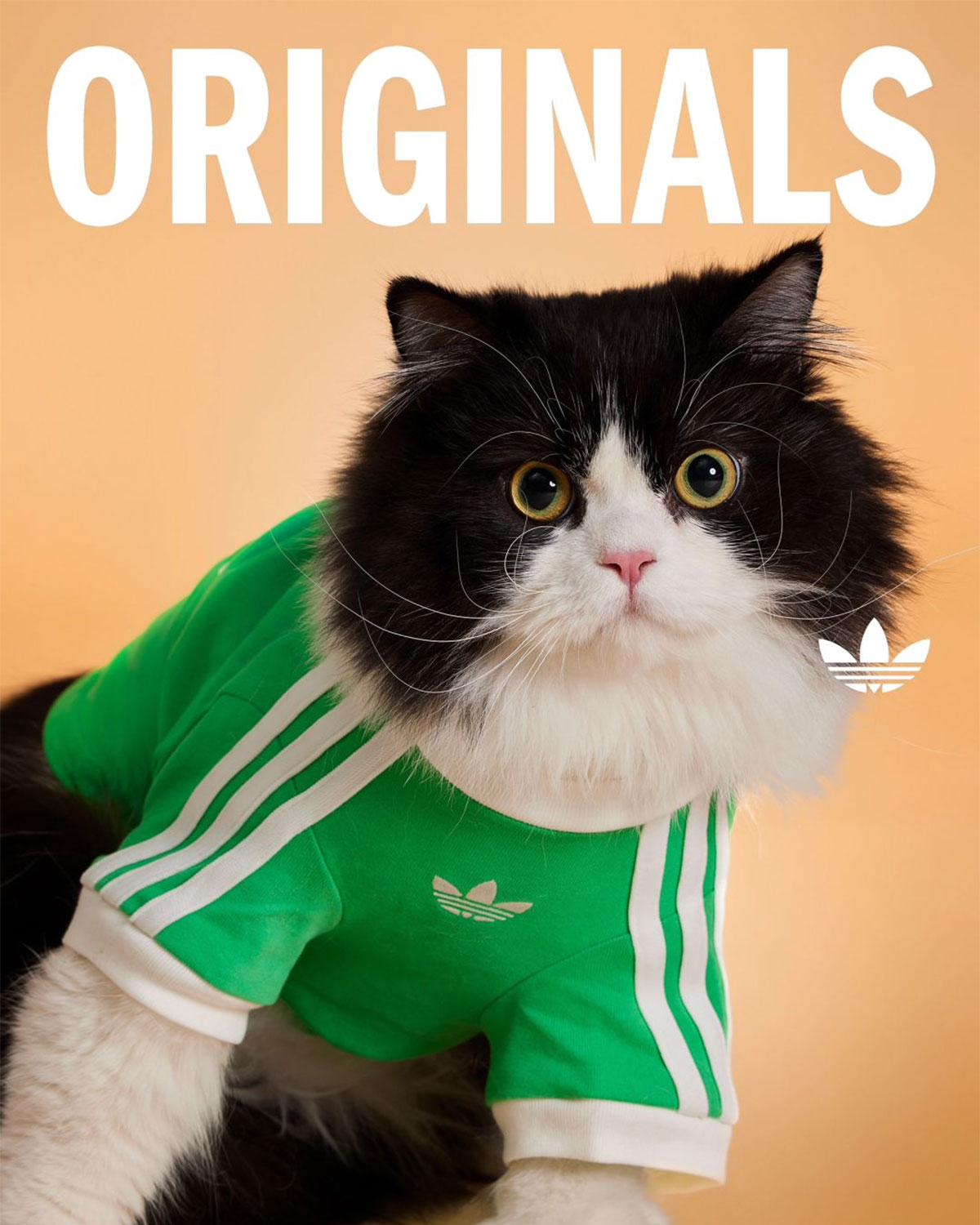adidas Originals Pets Collection 2025 | SneakerNews.com