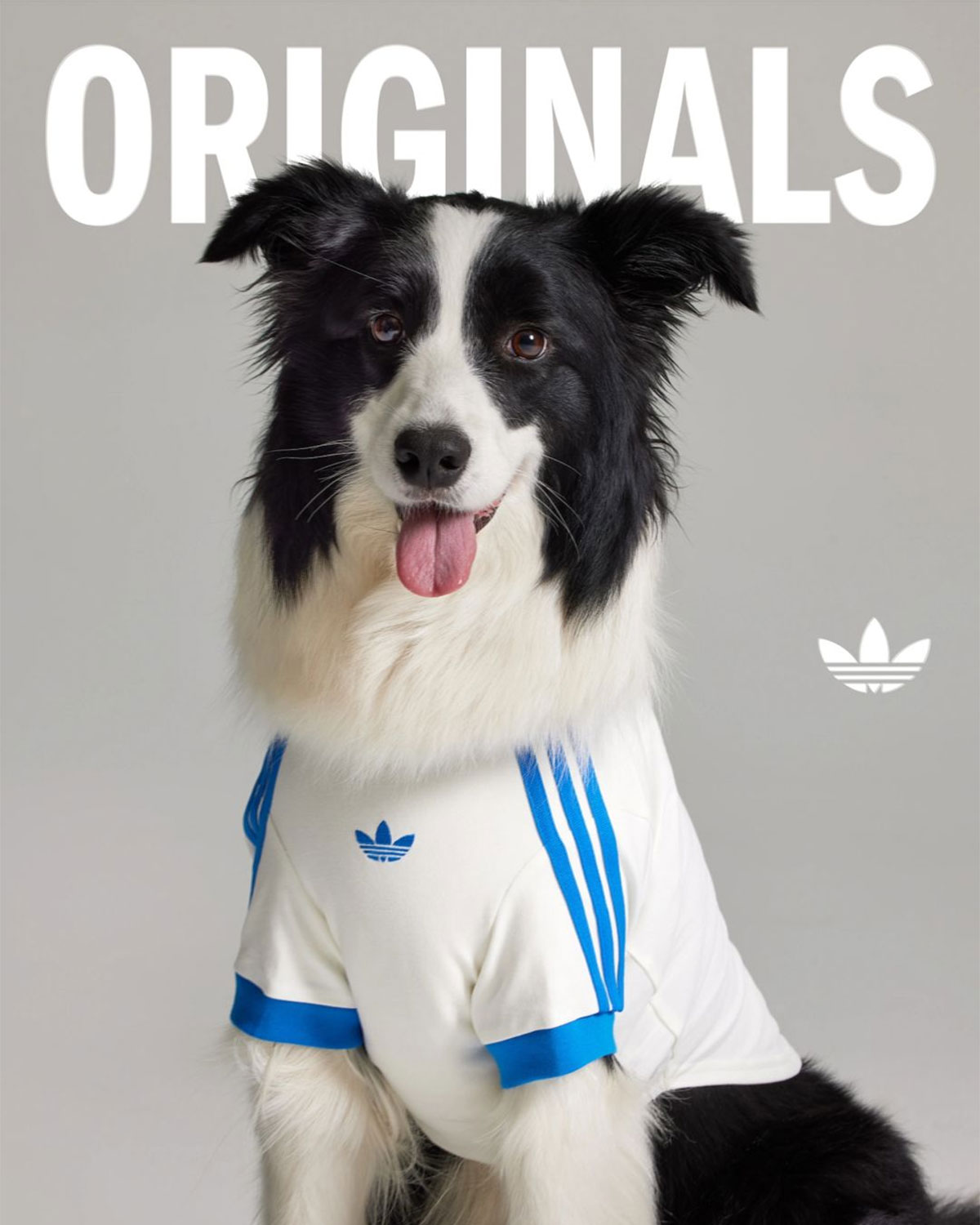 adidas Originals Pets Collection 2025 | SneakerNews.com