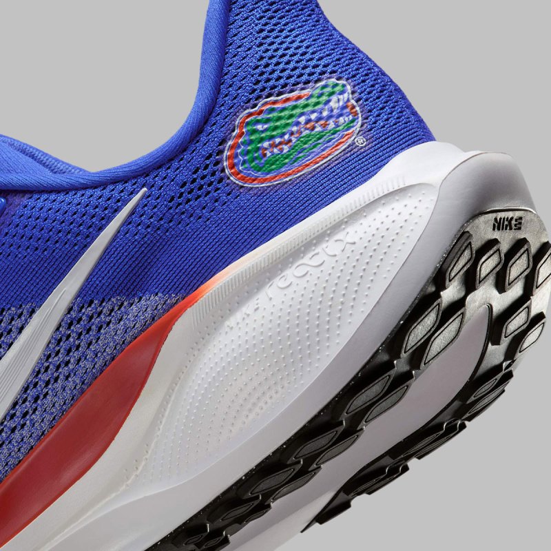 Nike Pegasus 41 NCAA Pack 2025 | SneakerNews.com