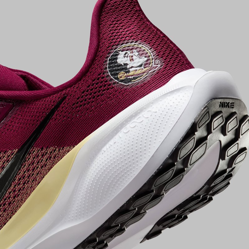 Nike Pegasus 41 NCAA Pack 2025 | SneakerNews.com