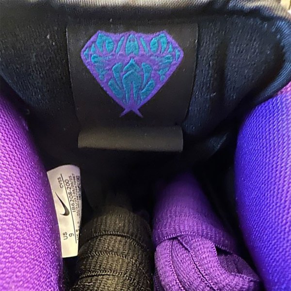 Nike SB Dunk Dashawn Jordan IB6208-200 | SneakerNews.com