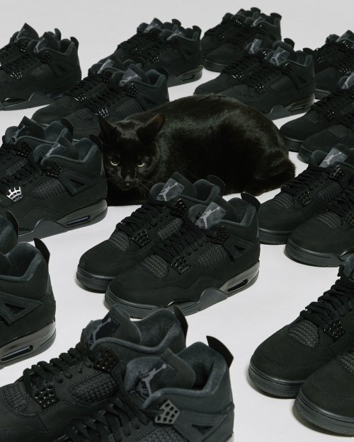 Air Jordan 4 Black Cat Store List | SneakerNews.com