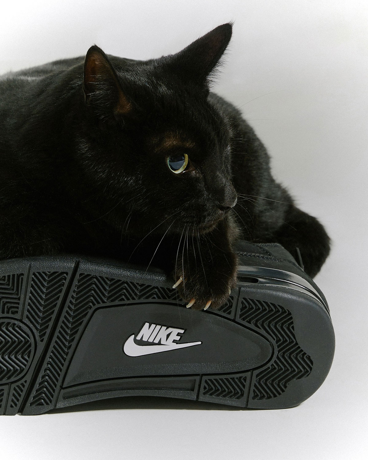 Air Jordan 4 Black Cat Store List | SneakerNews.com