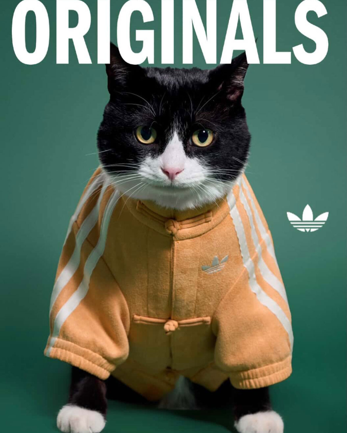 adidas Pet Collection Chinese New Year | SneakerNews.com
